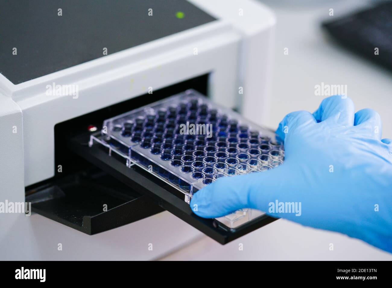 Loading ELISA test plate Stock Photo - Alamy Loading ELISA test plate Stock Photo - Alamy