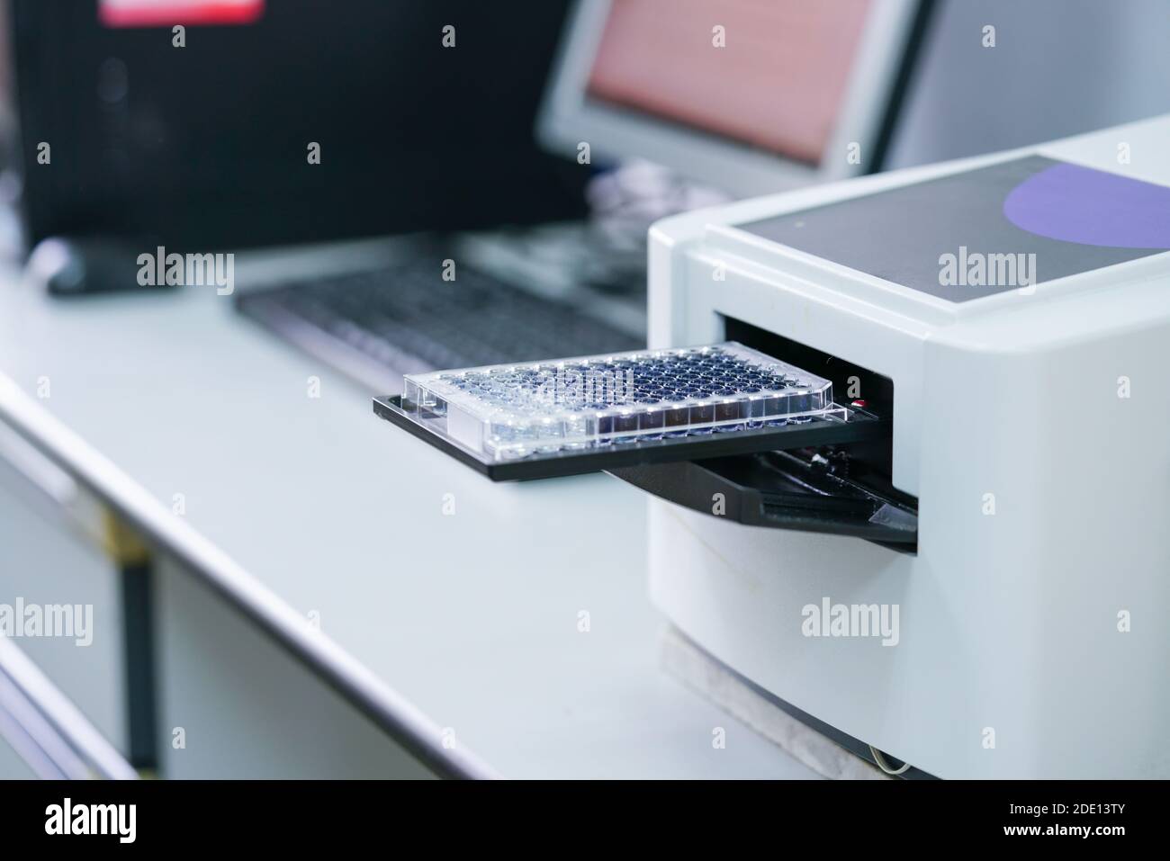 ELISA test plate Stock Photo - Alamy ELISA test plate Stock Photo - Alamy
