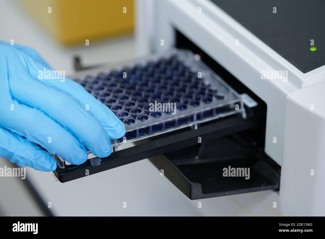 Loading ELISA test plate Stock Photo - Alamy