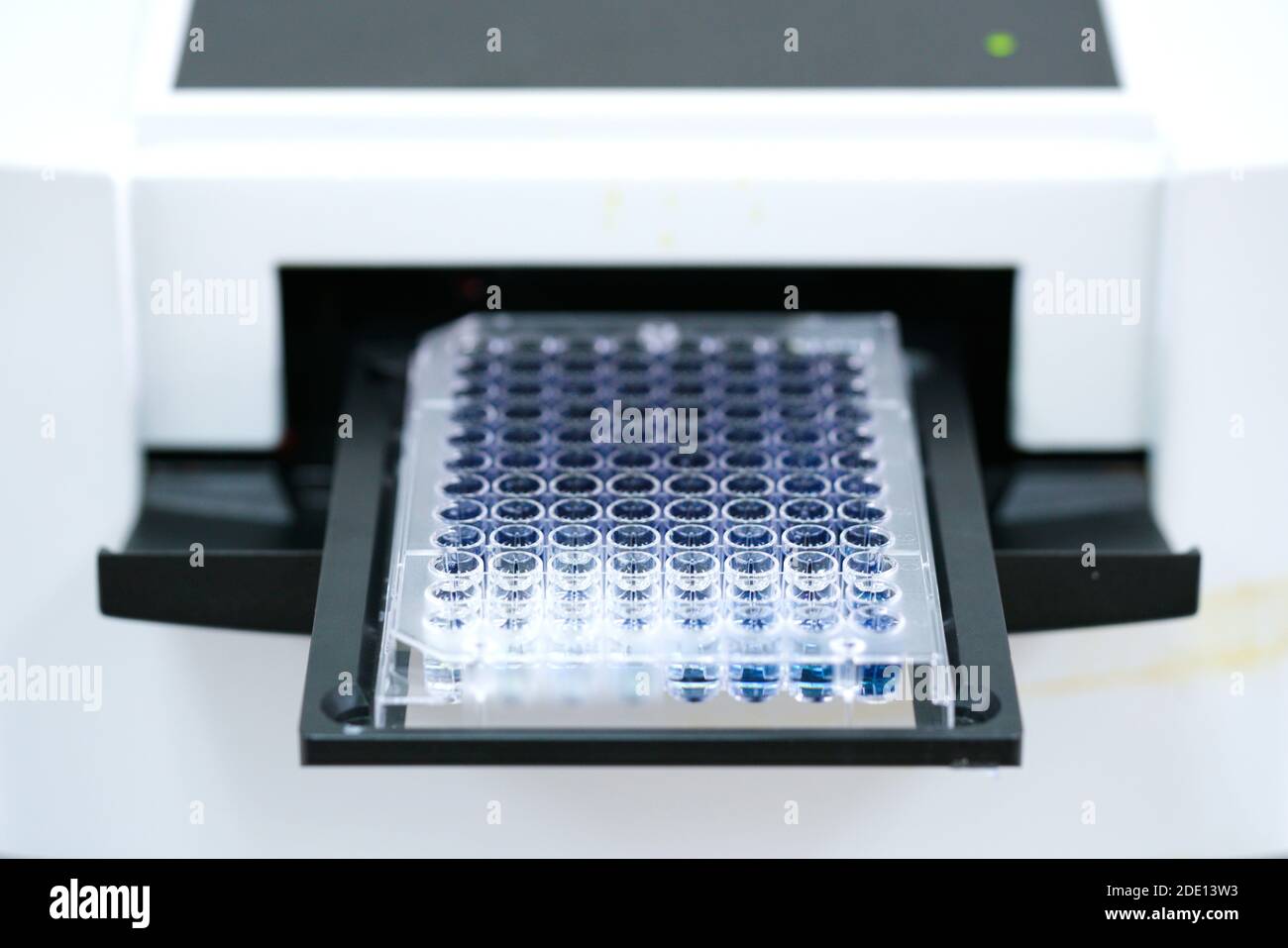 ELISA test plate Stock Photo - Alamy ELISA test plate Stock Photo - Alamy