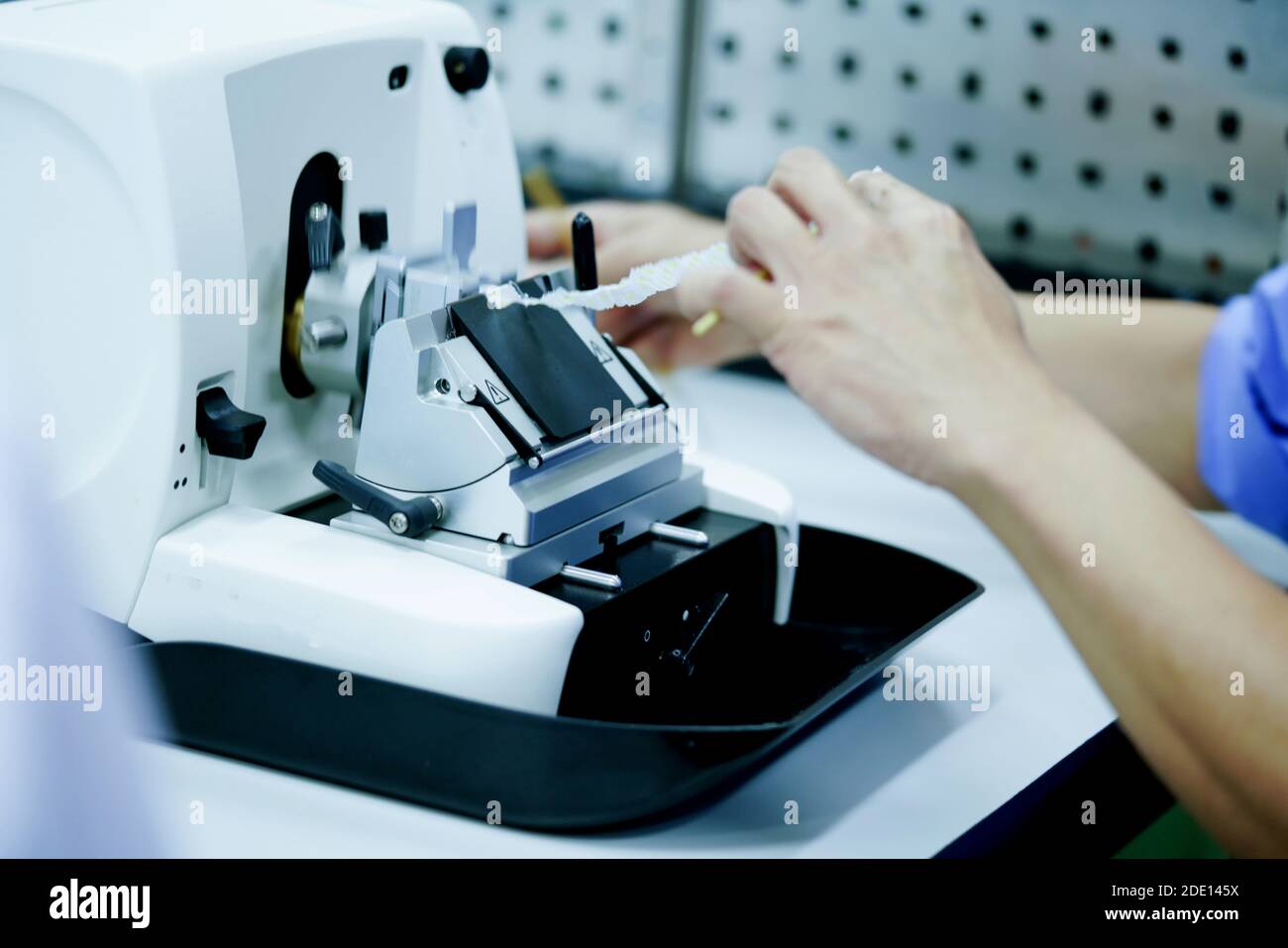 Cutting tissue section with rotary microtome Stock Photo - Alamy
