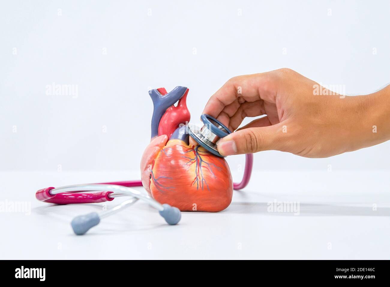 Human medicine healthcare concept hi-res stock photography and images ...