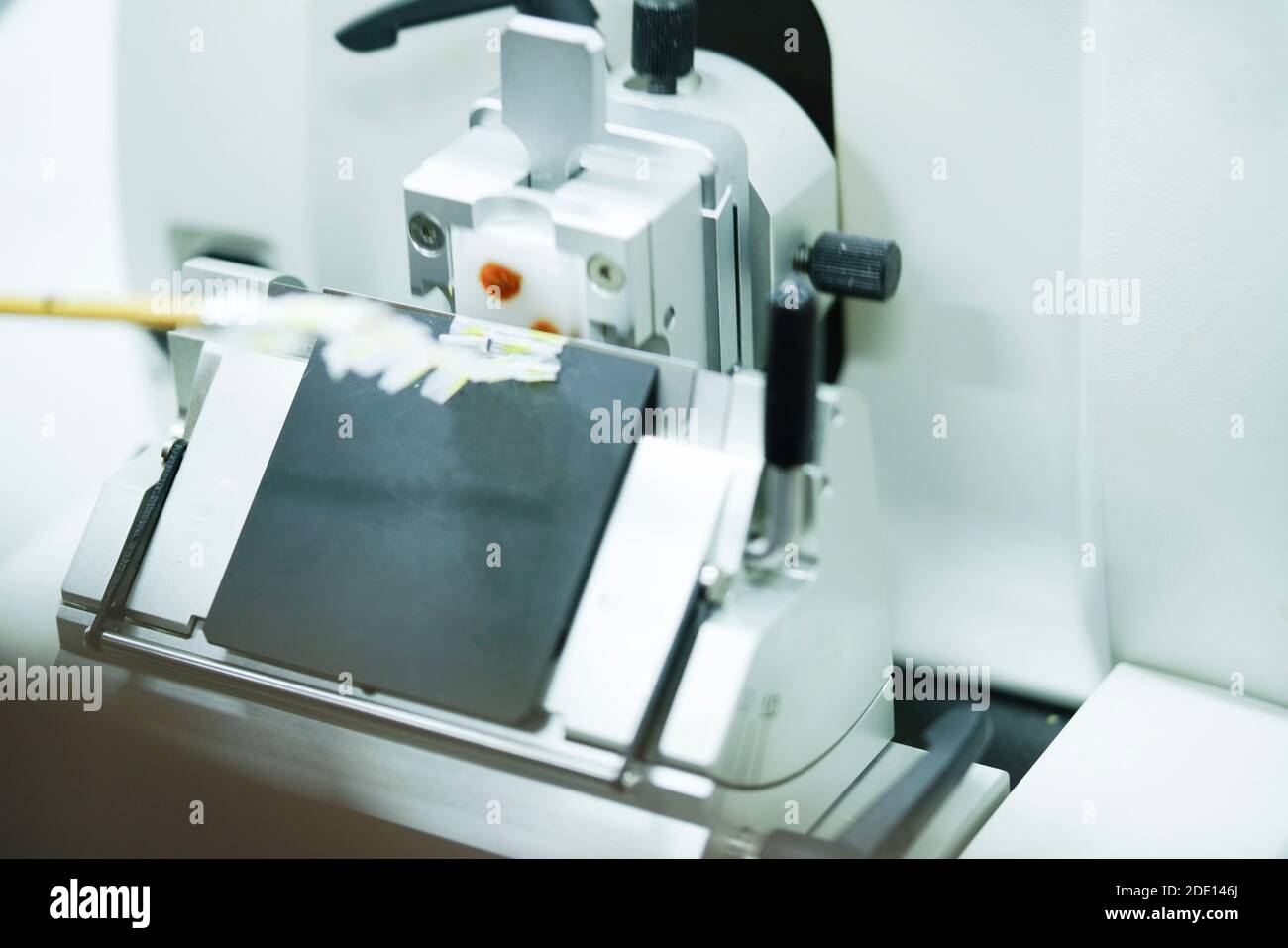 Cut tissue section on rotary microtome Stock Photo - Alamy