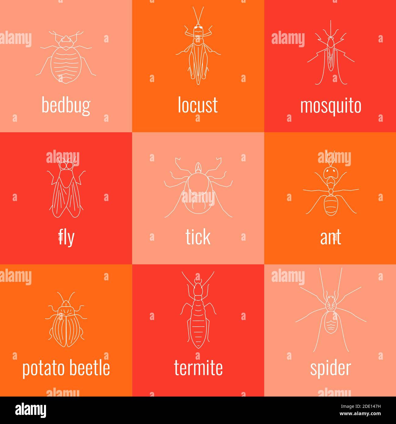 Insect illustration set hi-res stock photography and images - Alamy