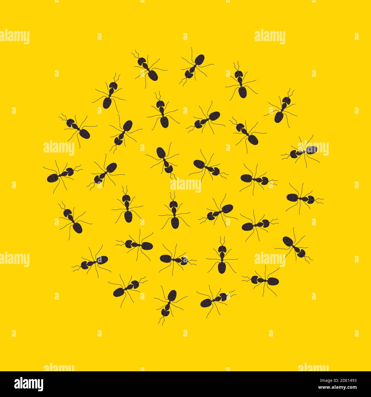 Ant colony illustration hi-res stock photography and images - Alamy