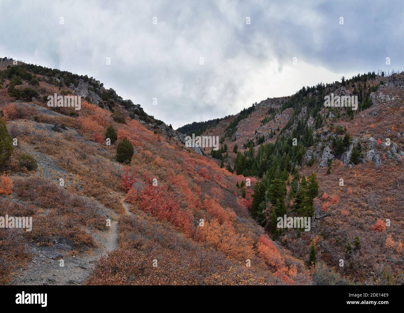 Slide Canyon hiking trail fall leaves mountain landscape view, around Y ...