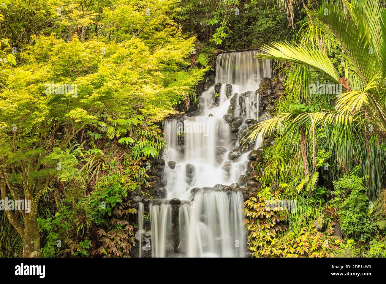 Taranaki taranaki hi-res stock photography and images - Alamy