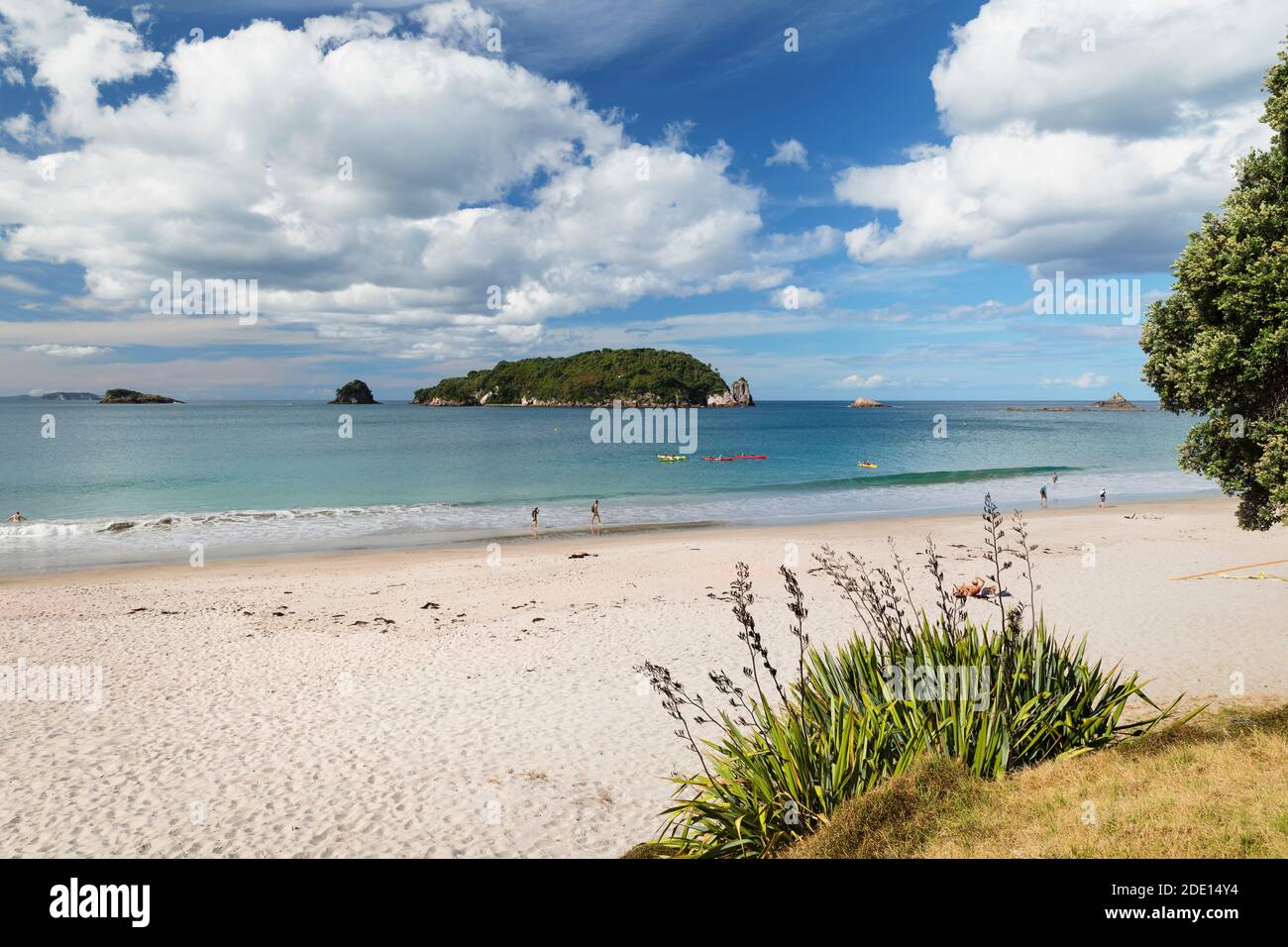 Hahei Beach, Coromandel Peninsula, Waikato, North Island, New Zealand, Pacific Stock Photo - Alamy