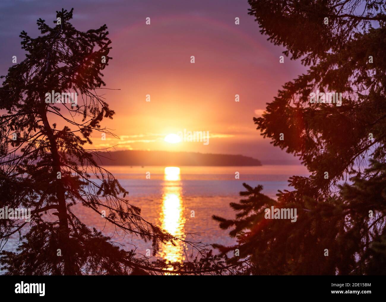 Sunset over the Pacific Ocean in the frame of the cypress trees Stock ...