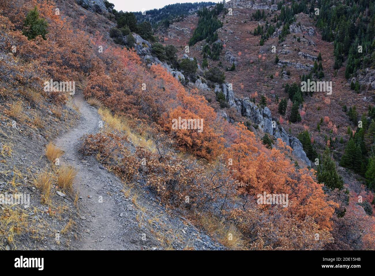 Slide Canyon hiking trail fall leaves mountain landscape view, around Y ...