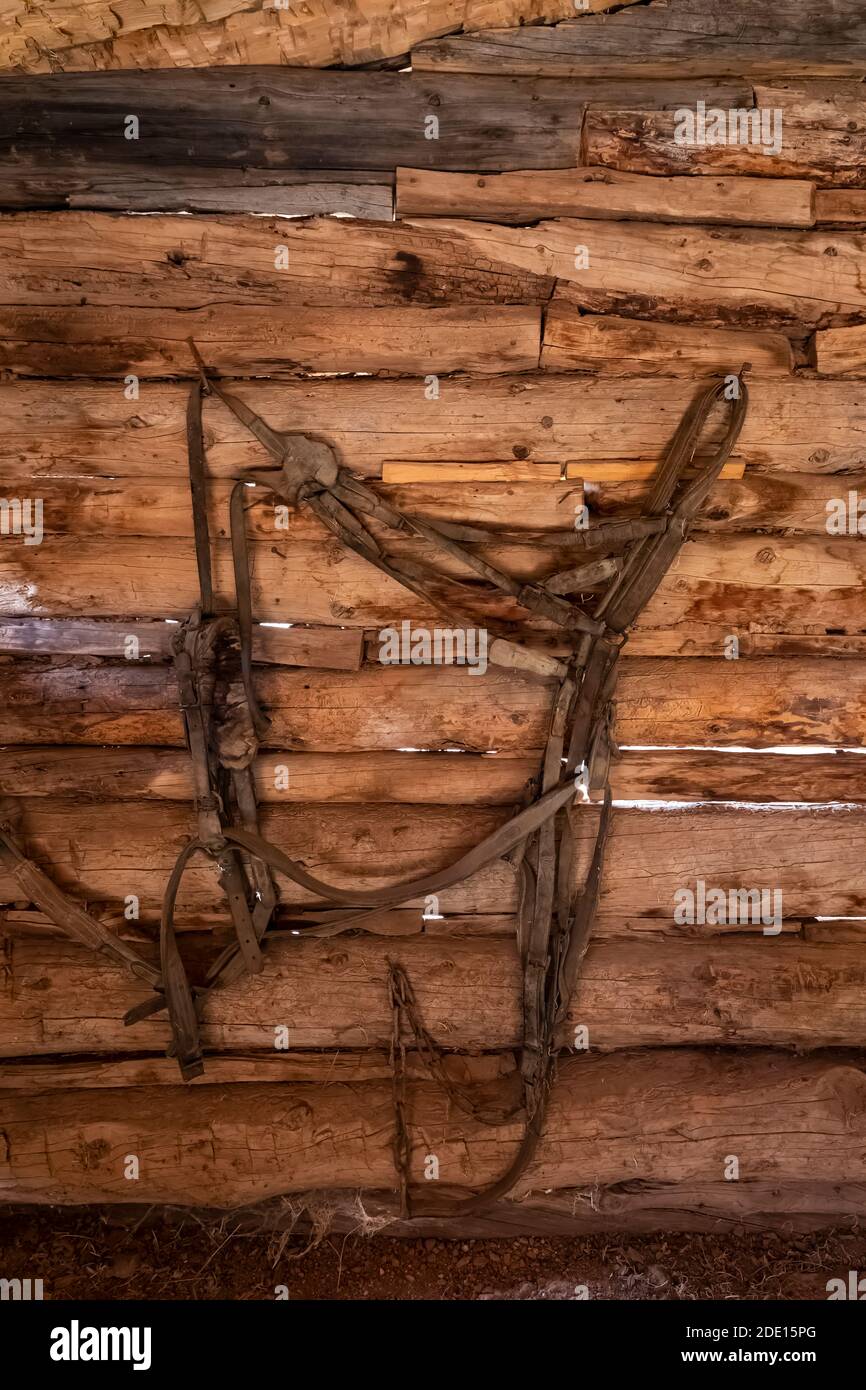 Equipment for livestock at Caroline Lockhart Historic Ranch Site in ...
