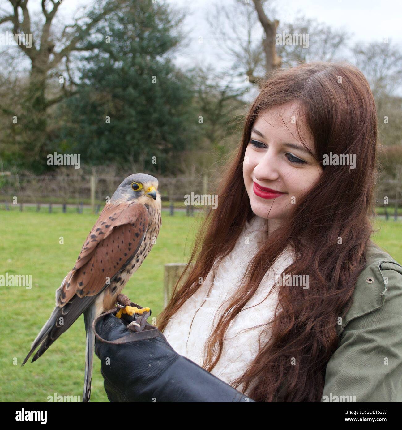 Happy kestrel hi-res stock photography and images - Alamy