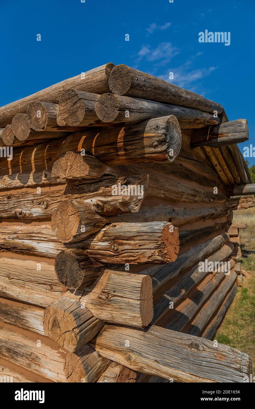 Homestead Cabin, once a schoolhouse, at Caroline Lockhart Historic ...