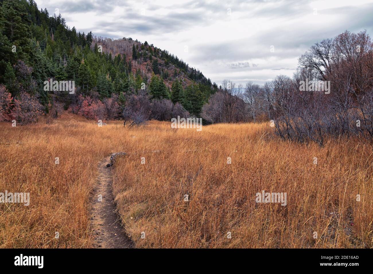Slide Canyon hiking trail fall leaves mountain landscape view, around Y ...
