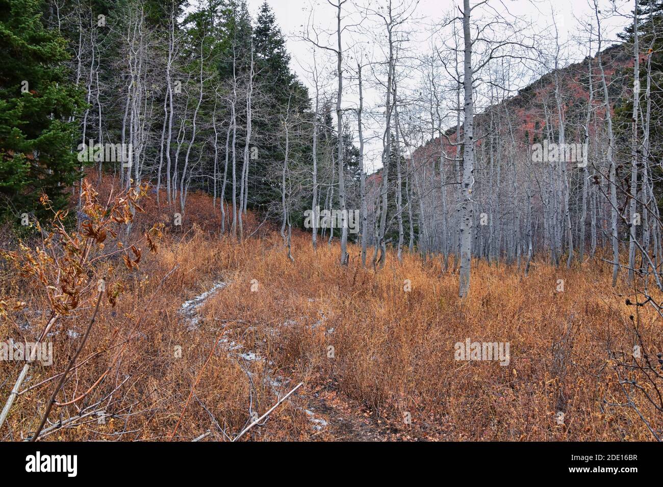Slide Canyon hiking trail fall leaves mountain landscape view, around Y ...