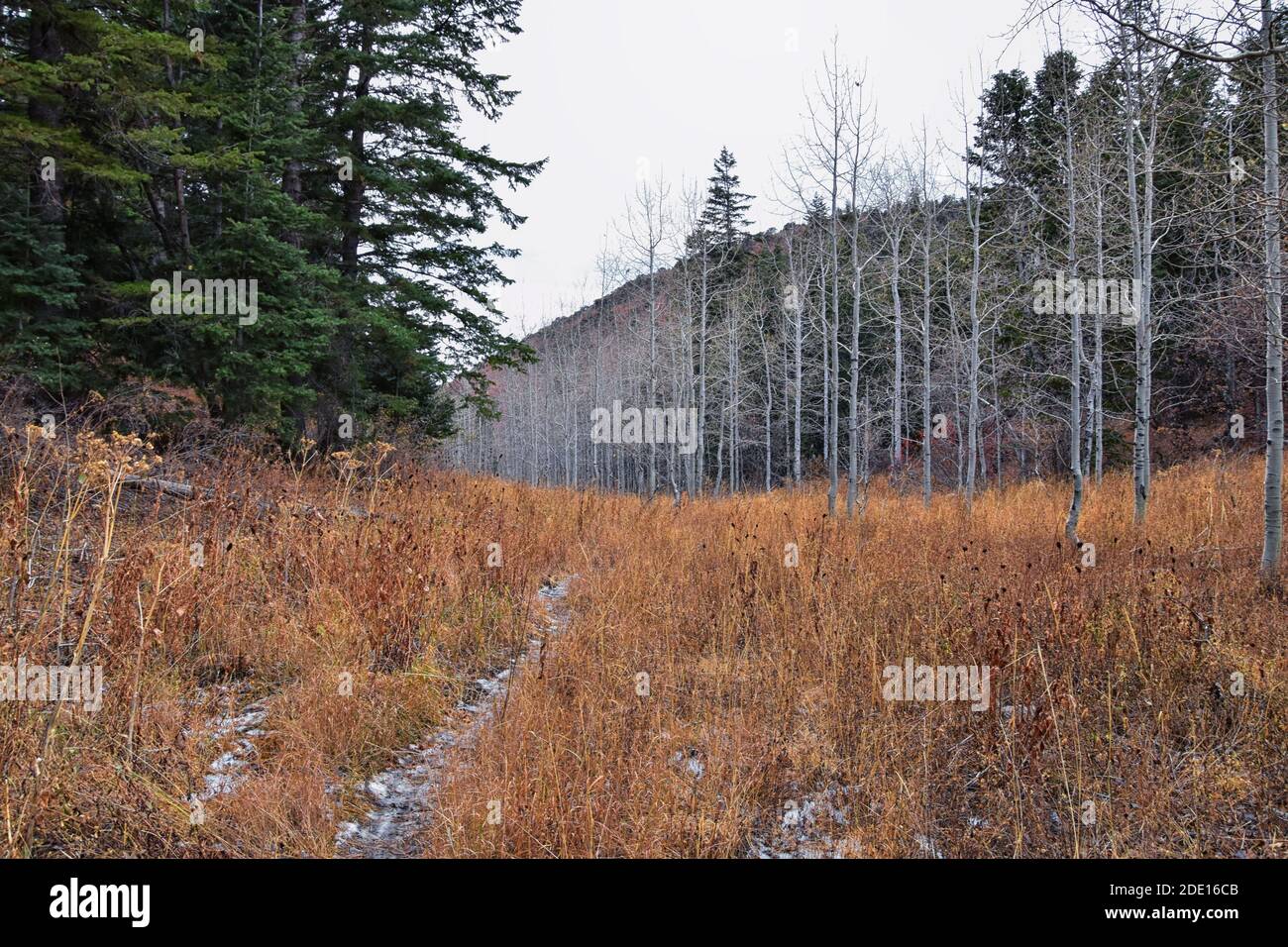 Slide Canyon hiking trail fall leaves mountain landscape view, around Y ...