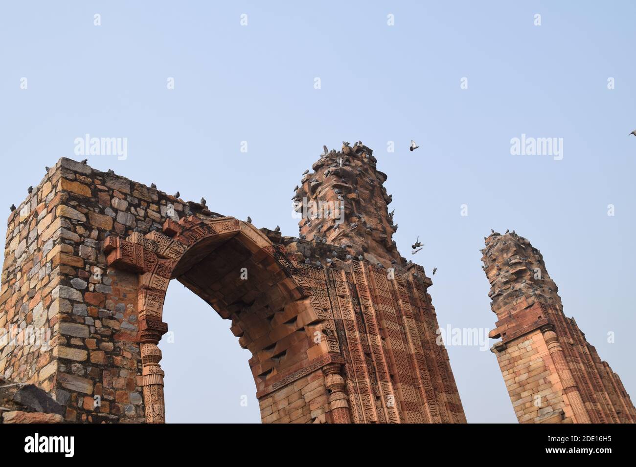 Bird at Qutub Minar, India Stock Photo - Alamy
