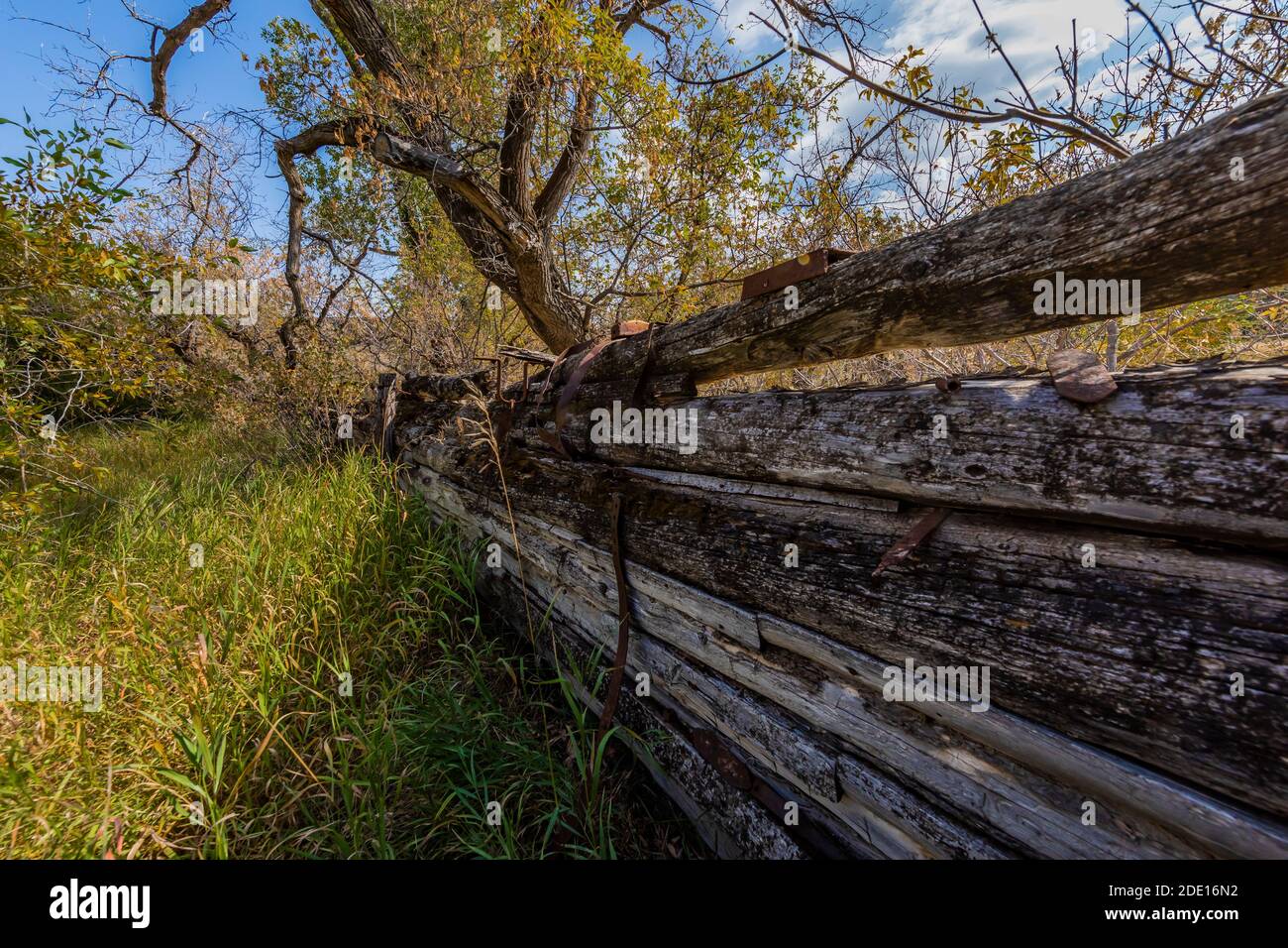Old barn remains at Caroline Lockhart Historic Ranch Site in Bighorn ...