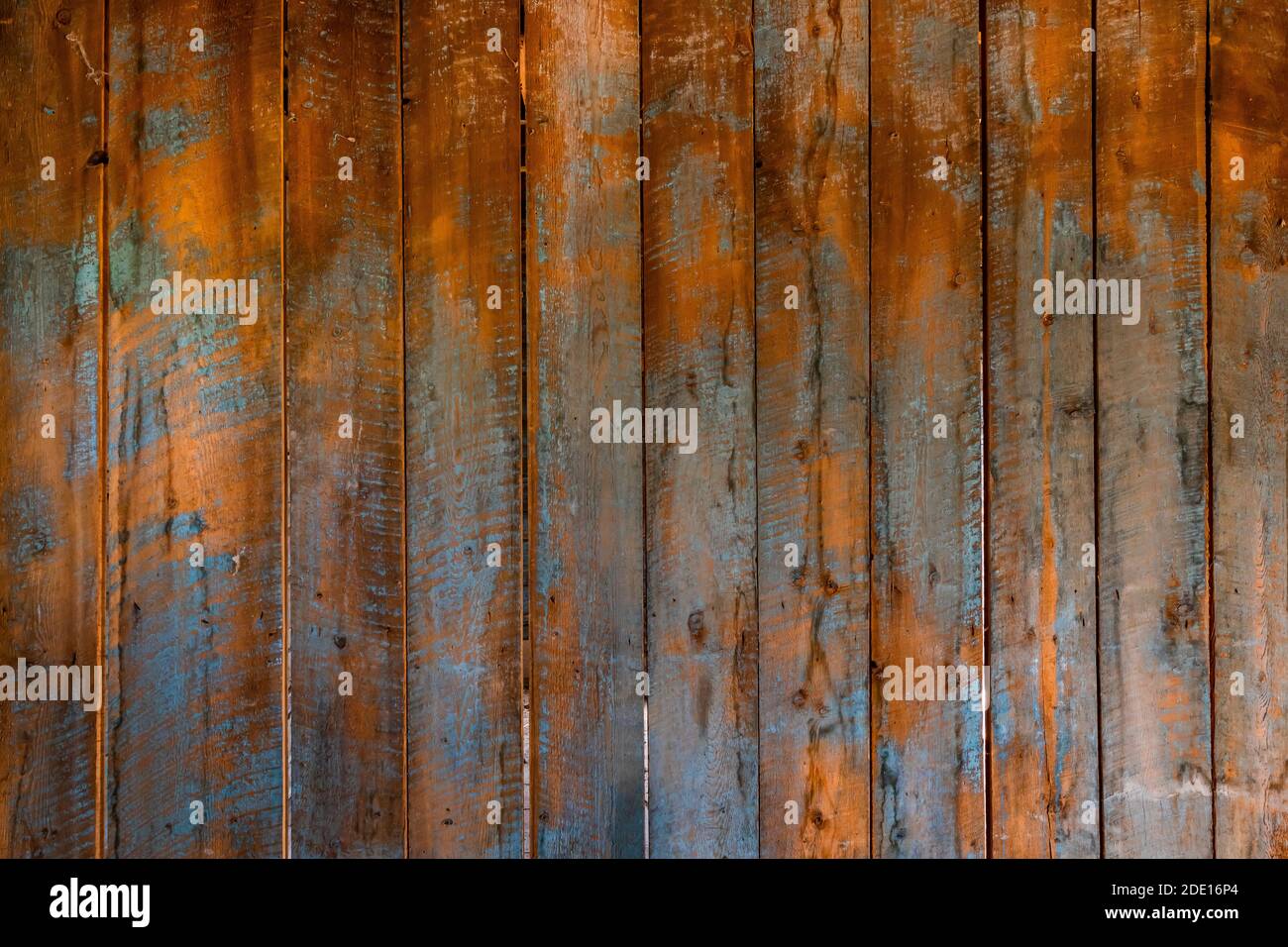 Fading painted blue wall in ranch house at Caroline Lockhart Historic ...
