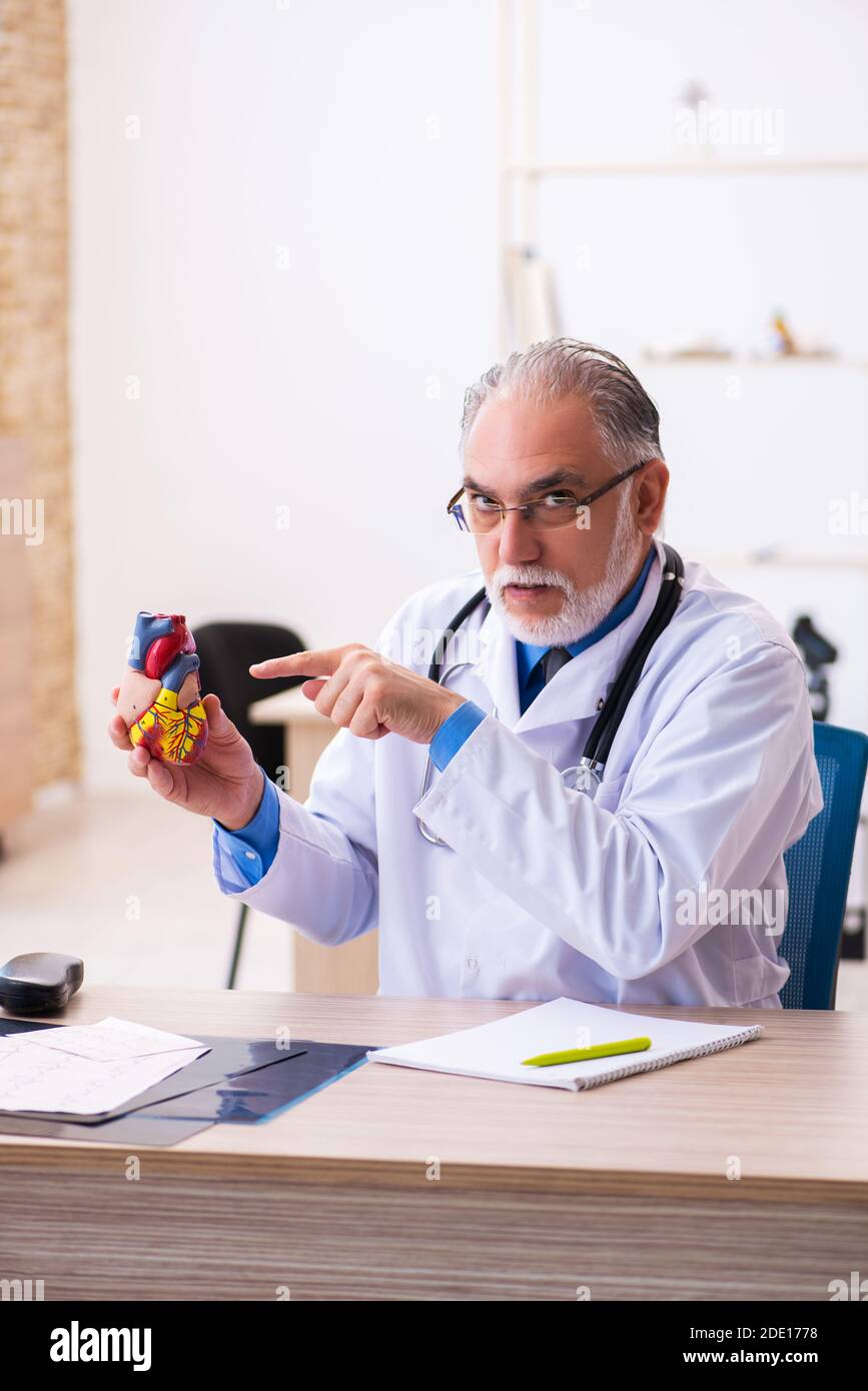 Senior male doctor cardiologist holding heart model Stock Photo - Alamy