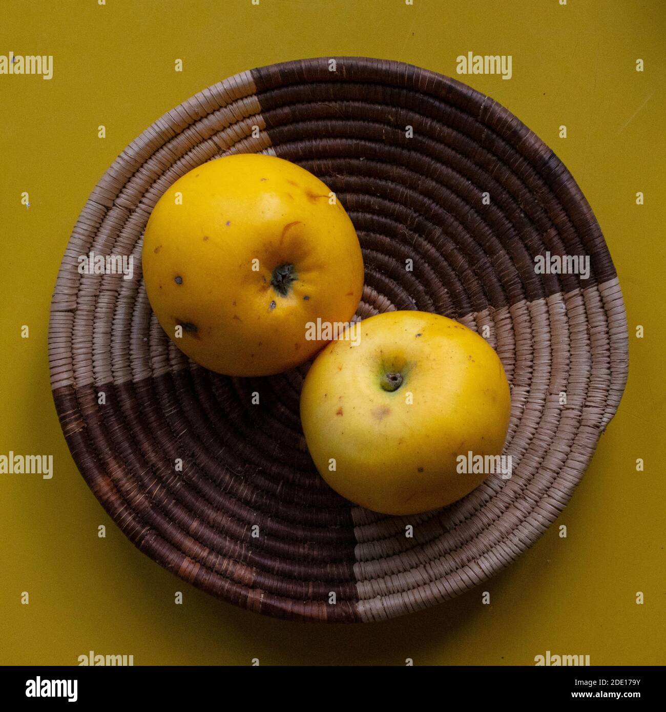 Golden Noble, a cultivar of domesticated apple; discovered by Patrick ...