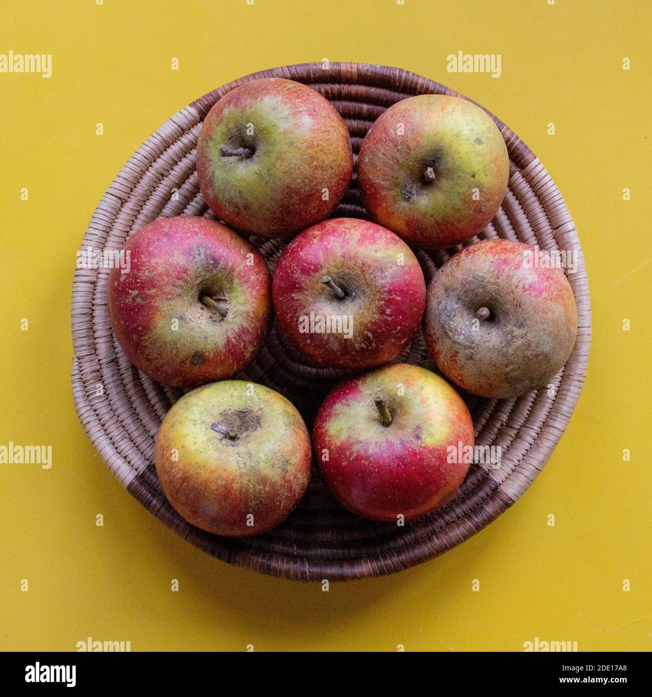 Apple tydemans late orange hi-res stock photography and images - Alamy