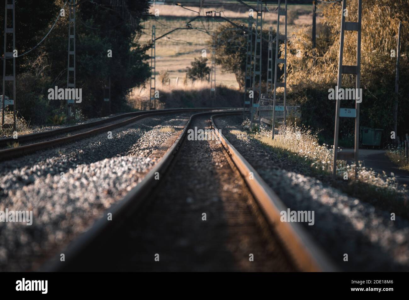 train tracks going to the horizon in the sunset Stock Photo - Alamy