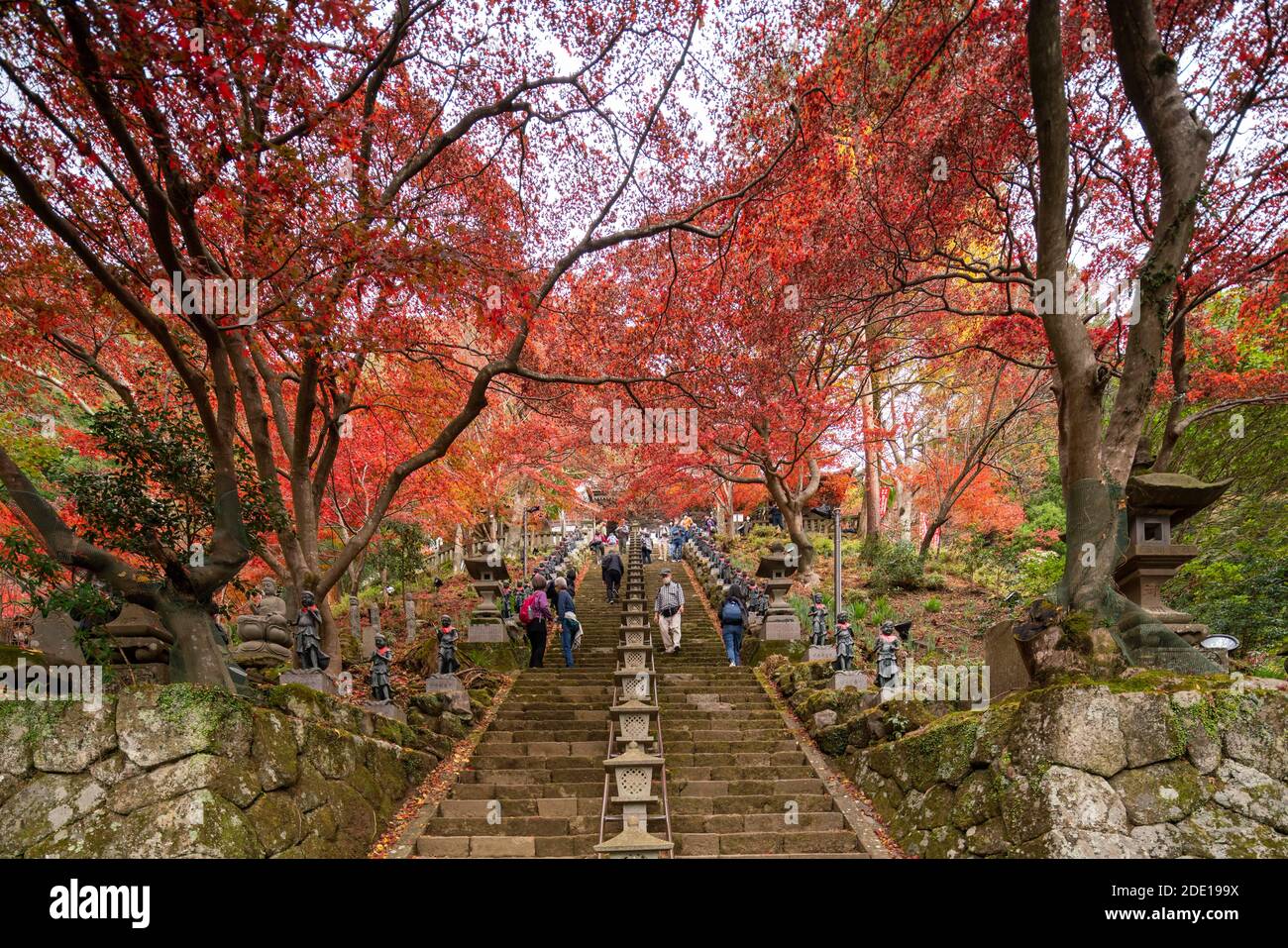 Autumn colors at Ōyama-dera temple, on Mt.Ōyama, Isehara City, Kanagawa ...