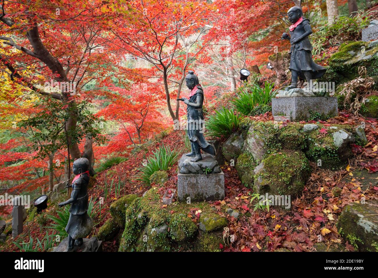 Autumn colors at Ōyama-dera temple, on Mt.Ōyama, Isehara City, Kanagawa ...