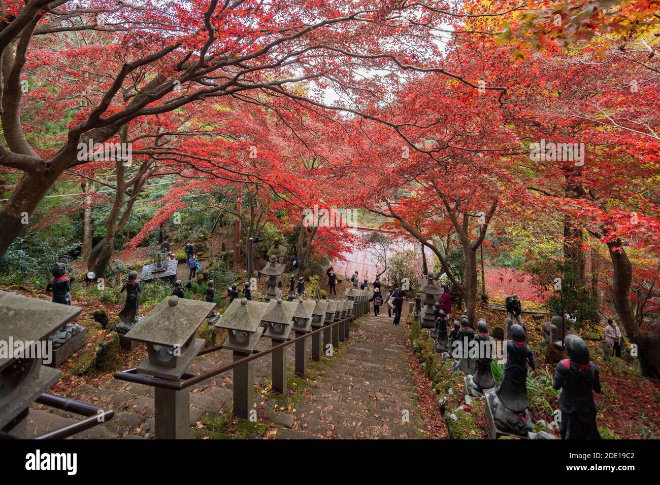 Autumn colors at Ōyama-dera temple, on Mt.Ōyama, Isehara City, Kanagawa ...
