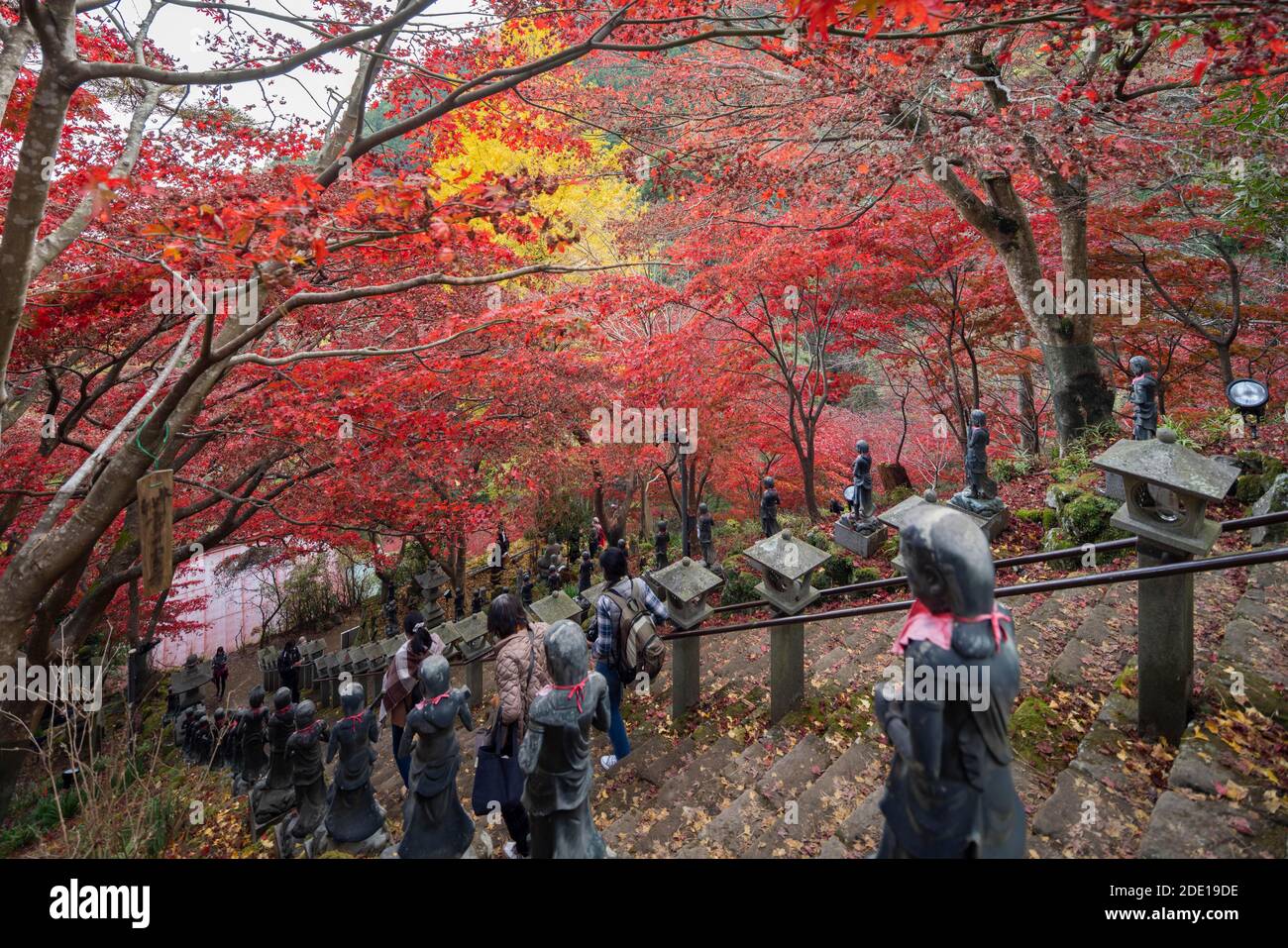 Autumn colors at Ōyama-dera temple, on Mt.Ōyama, Isehara City, Kanagawa ...