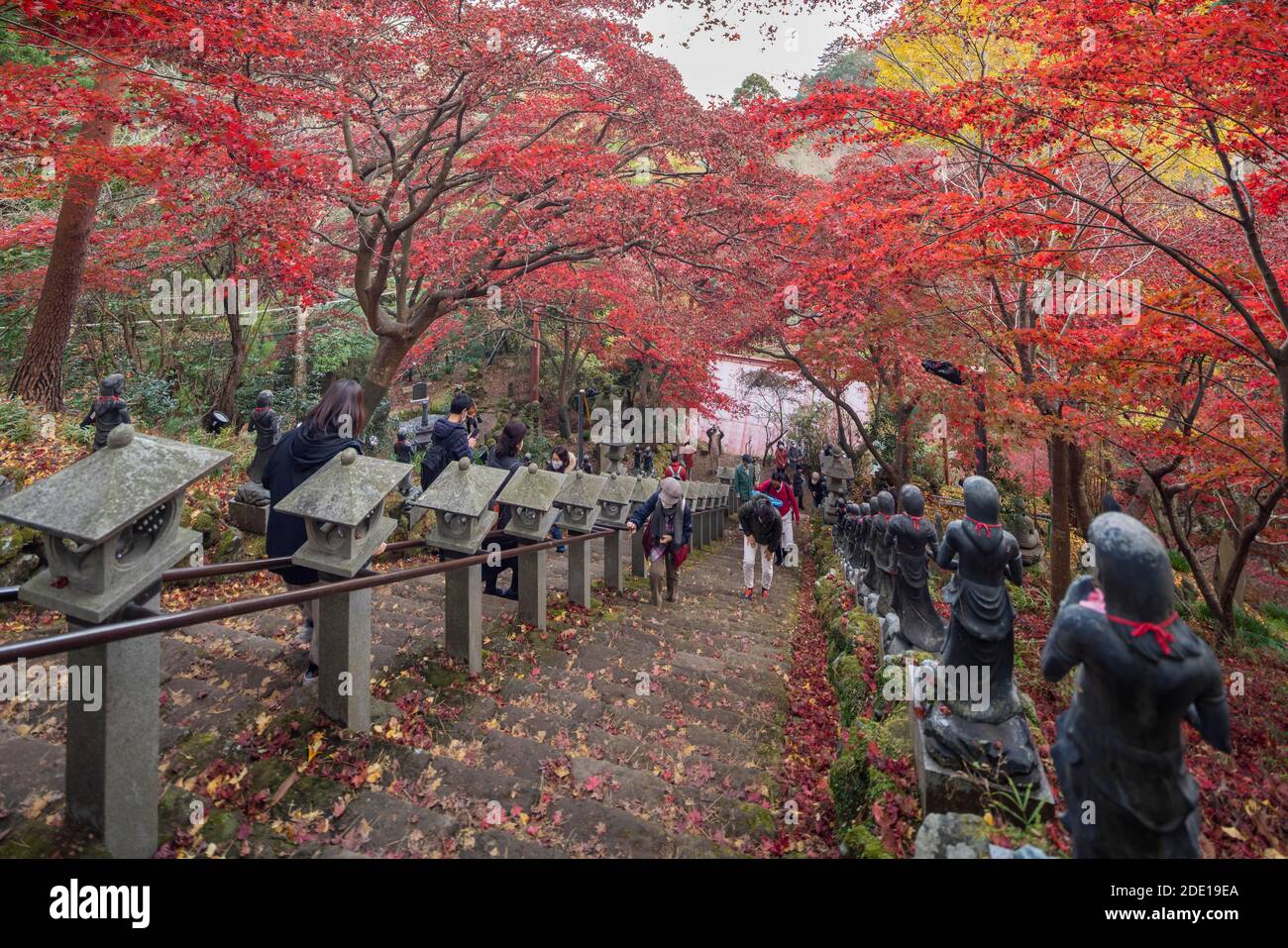 Autumn colors at Ōyama-dera temple, on Mt.Ōyama, Isehara City, Kanagawa ...