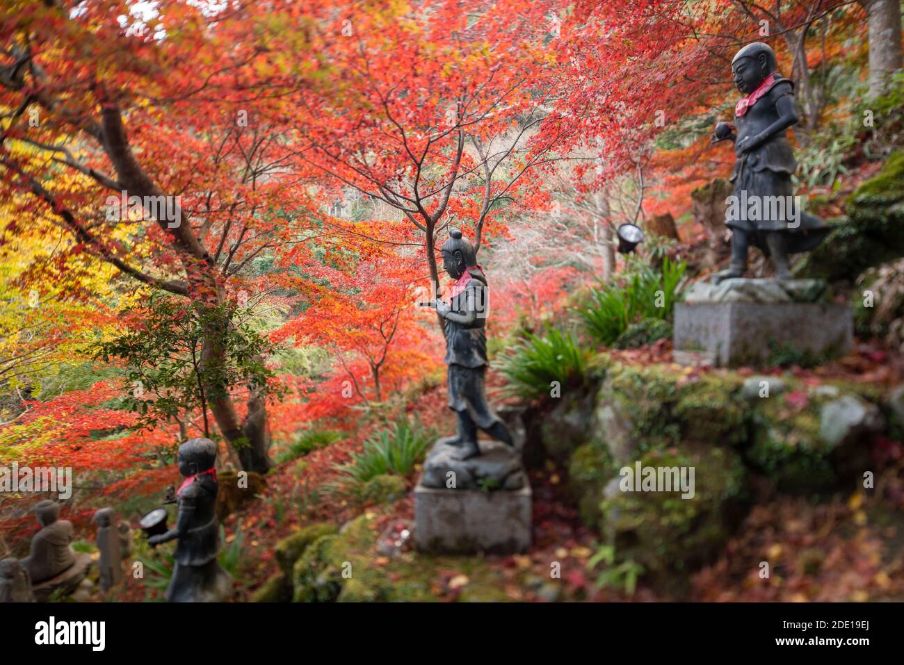 Autumn colors at Ōyama-dera temple, on Mt.Ōyama, Isehara City, Kanagawa ...