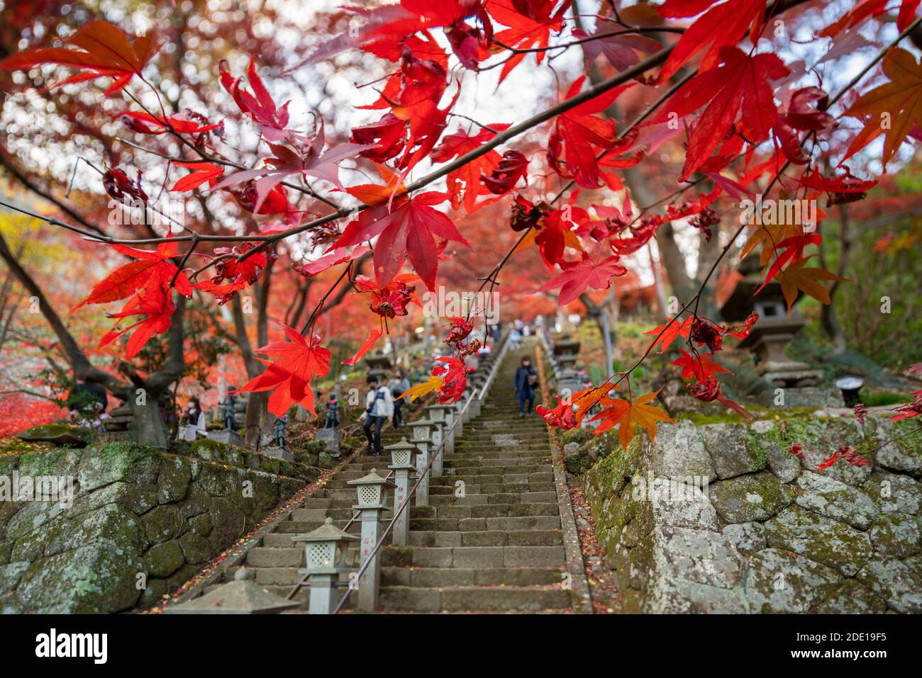Autumn colors at Ōyama-dera temple, on Mt.Ōyama, Isehara City, Kanagawa ...
