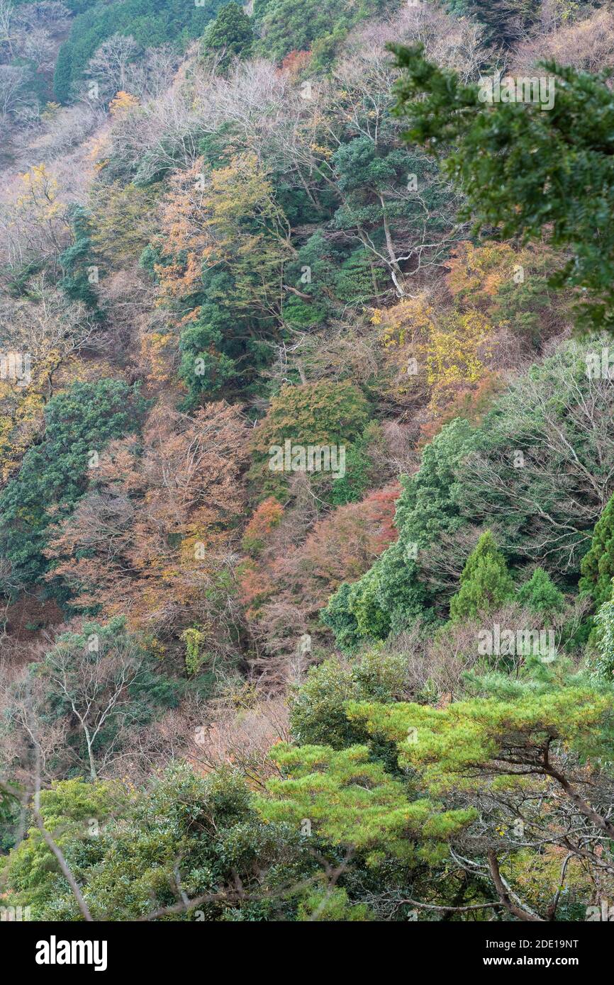 Autumn colors of Mt. Ōyama view from Ōyama Cable car Afuri Jinja ...