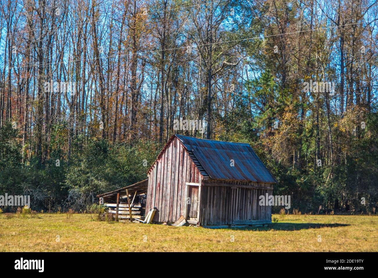 A rustic structure on a farm in the rural south during the Fall Stock ...