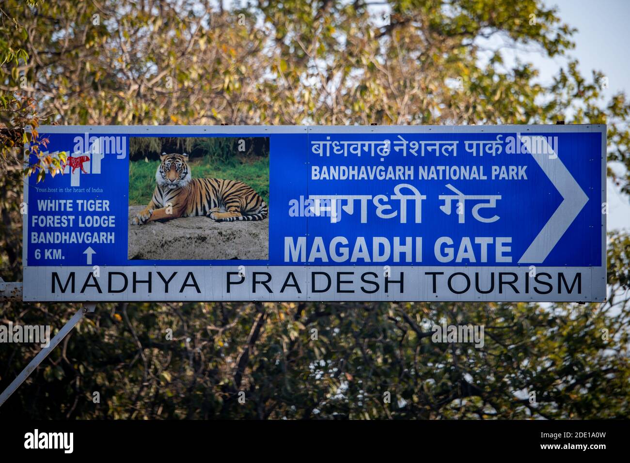 Magadhi Gate marks one of several entrances for Bandhavgarh National ...