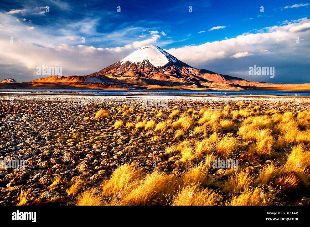 Parinacota volcano, Chile Stock Photo - Alamy