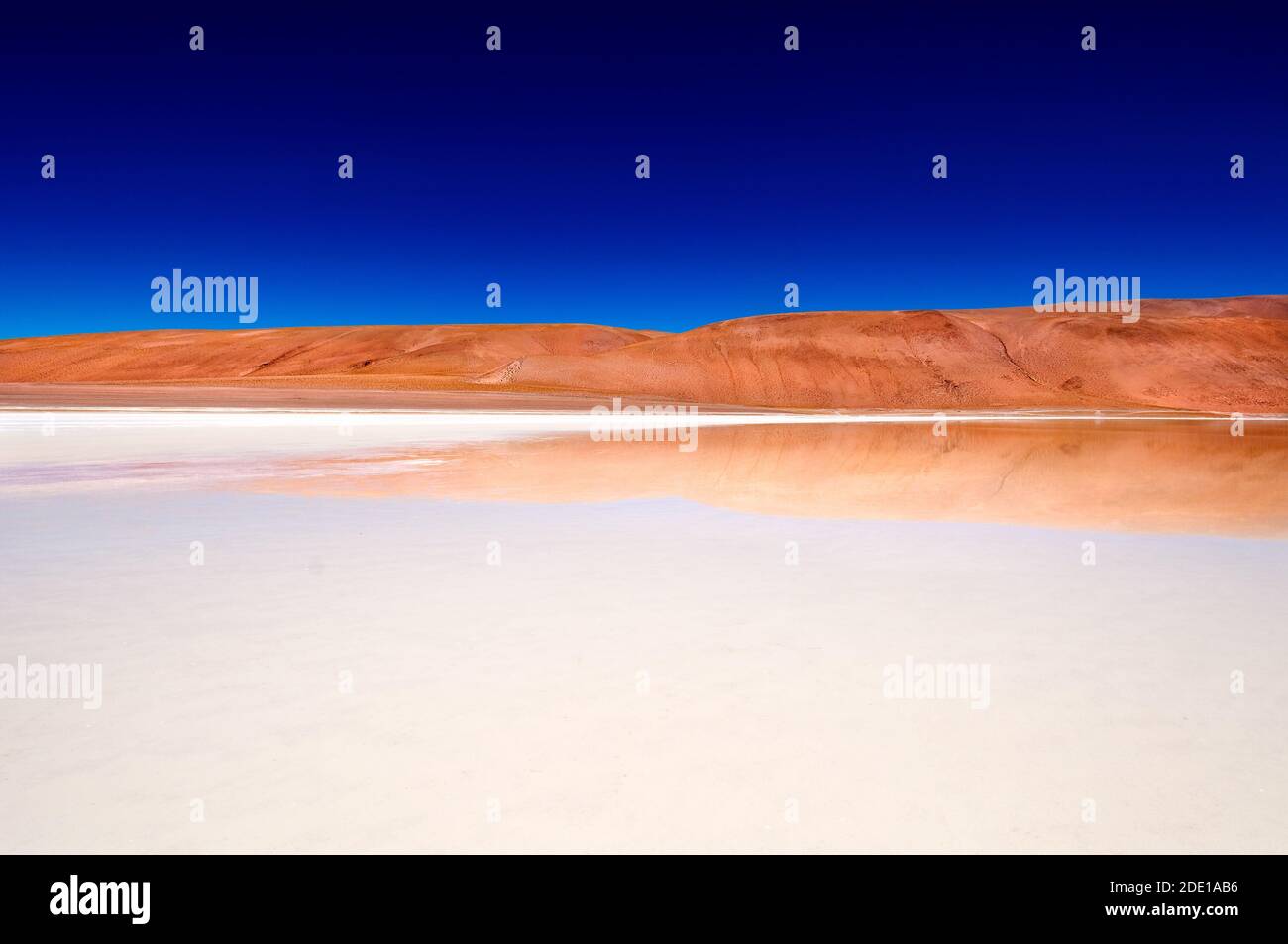 Hypersaline lake in Altiplano region, Chile Stock Photo - Alamy