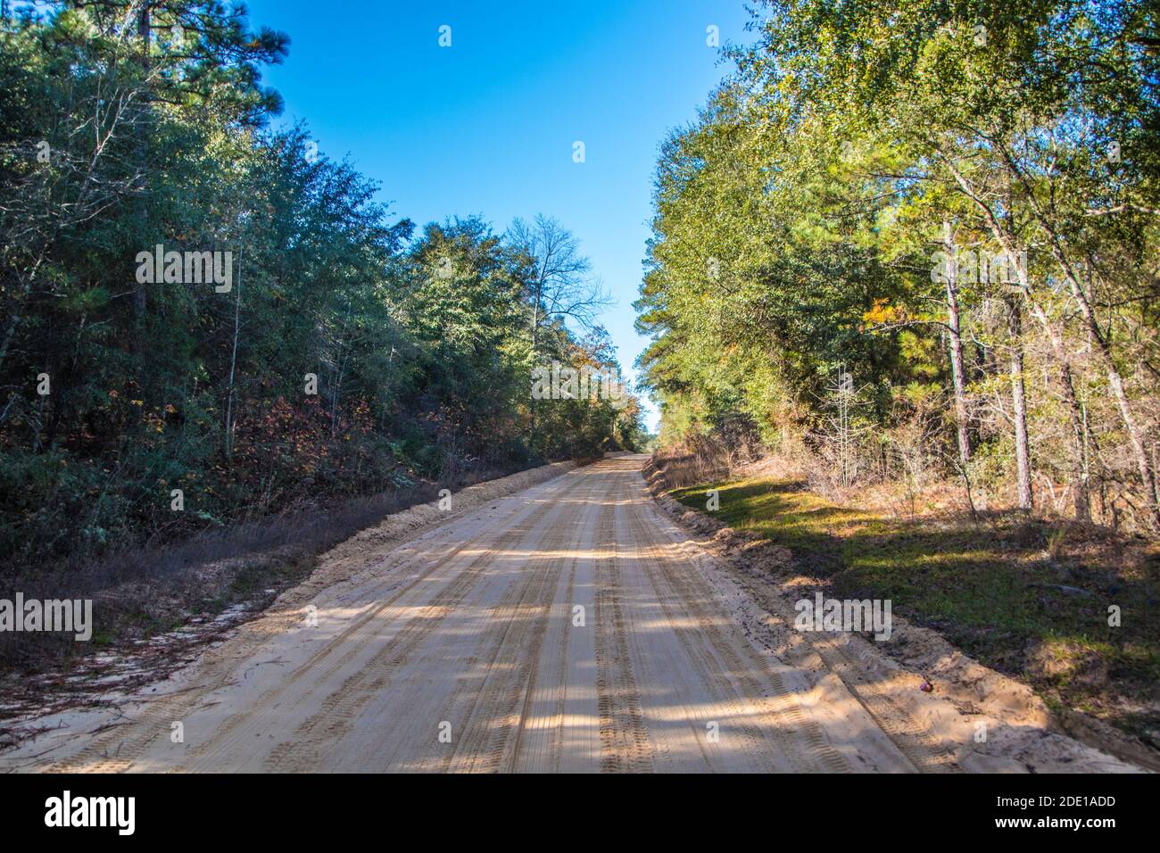 A dirt road in the country in rural Georgia Stock Photo - Alamy