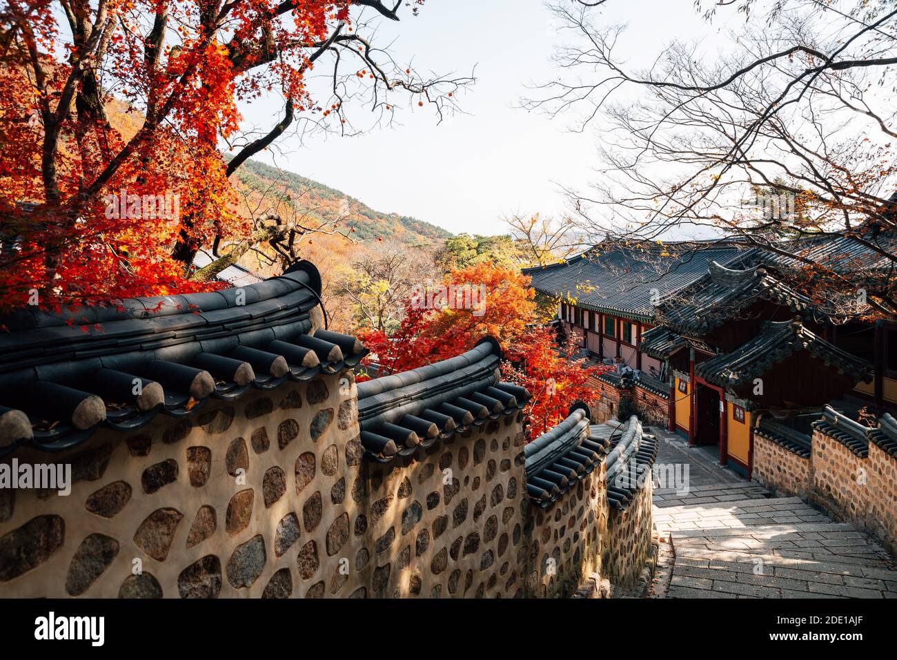 Autumn of Beomeosa temple in Busan, Korea Stock Photo - Alamy