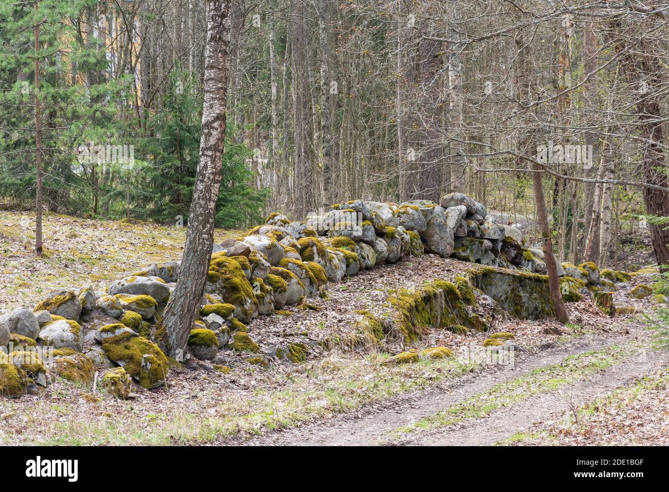 Ancient stone wall border between Pyynikki and Pispala in Tampere ...