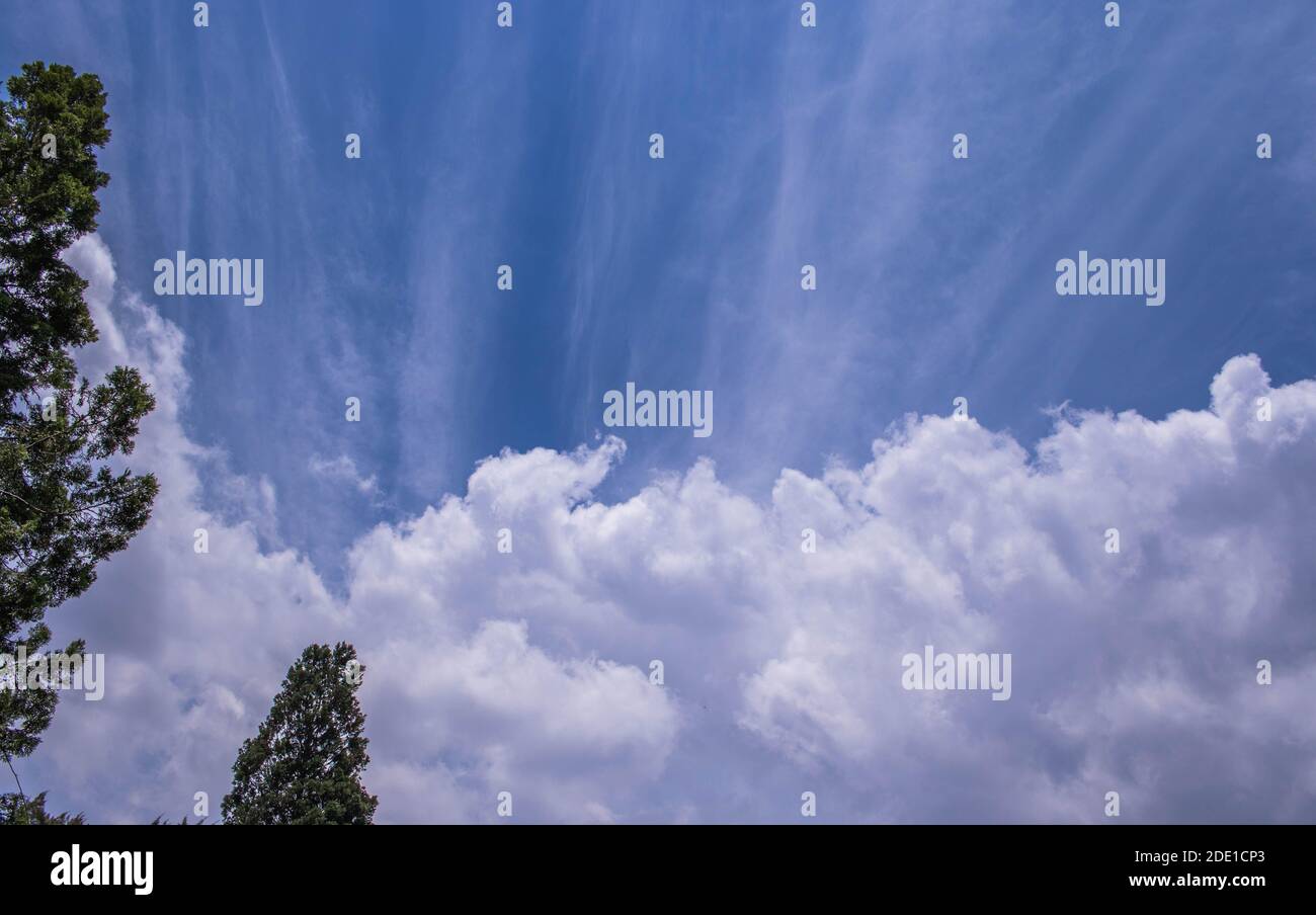 A seasonal summer thunderstorm builds up over Johannesburg on the ...