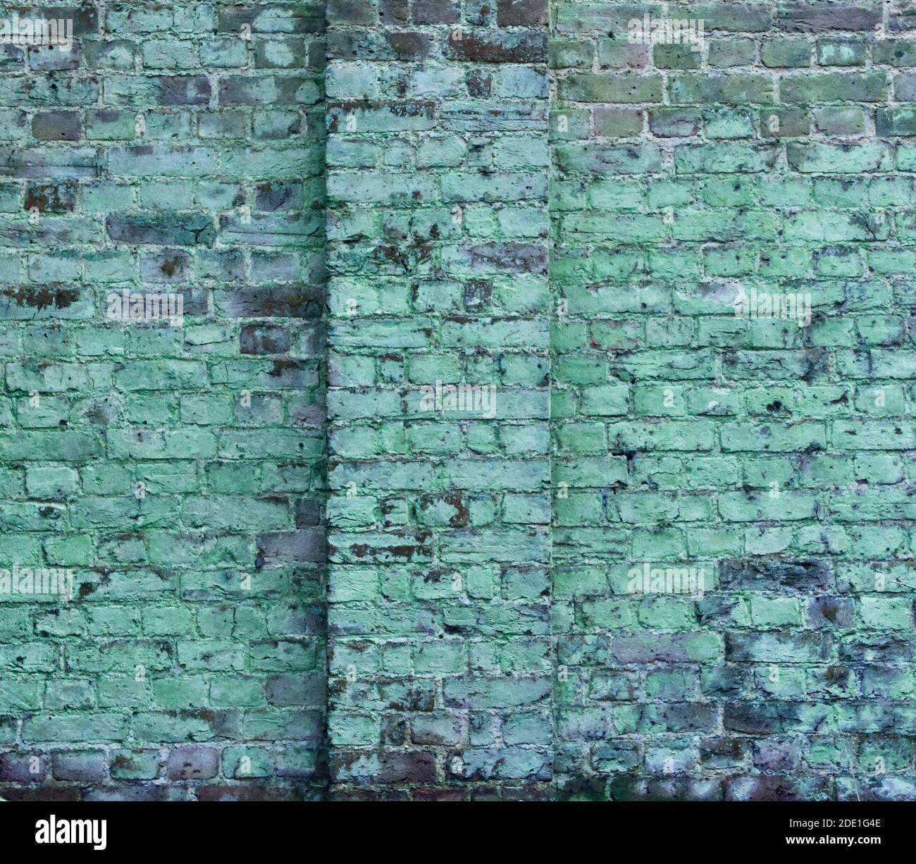 Algae background brick hi-res stock photography and images - Alamy