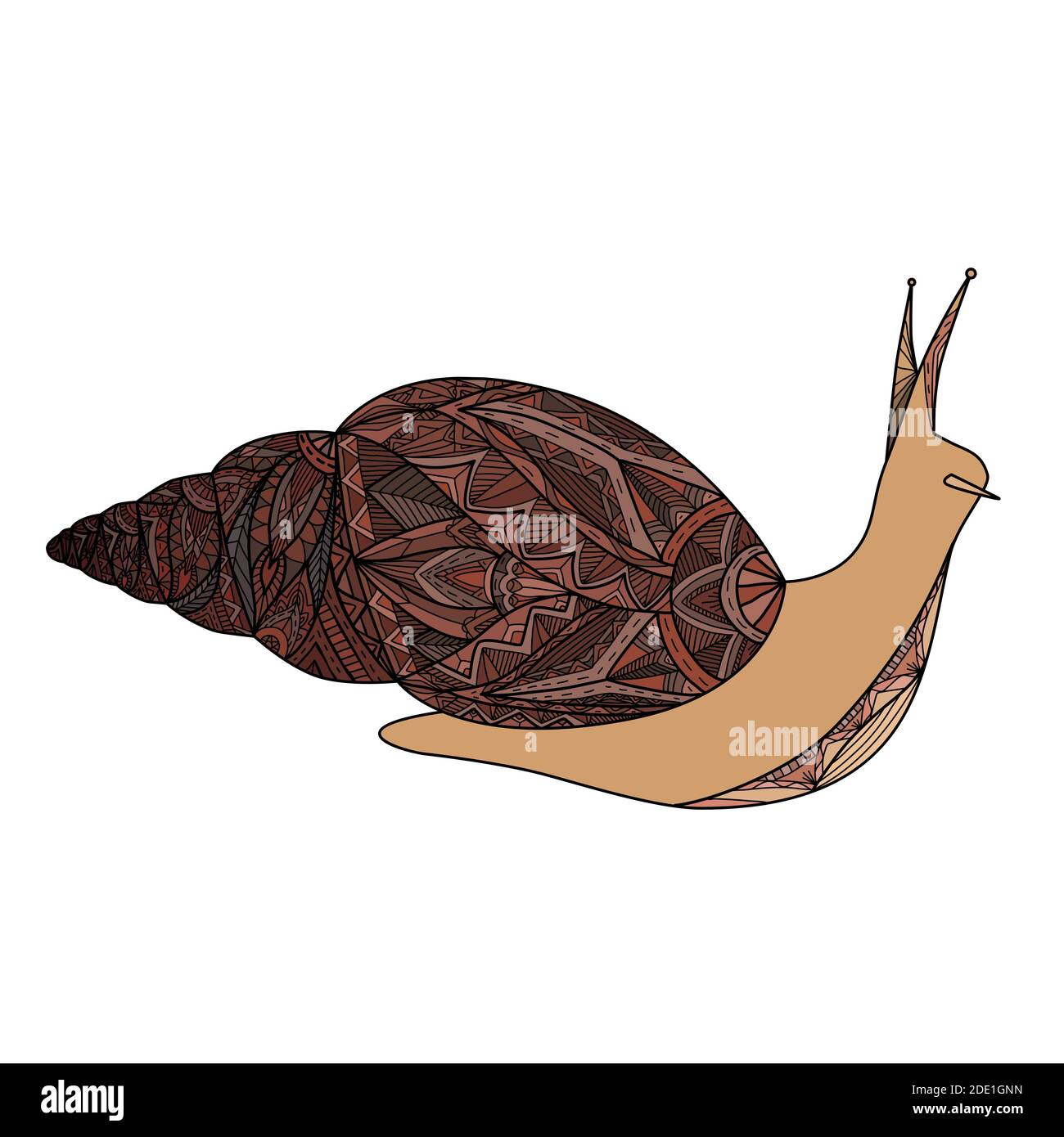 Color contour illustration of a snail with boho pattern. Vector ...