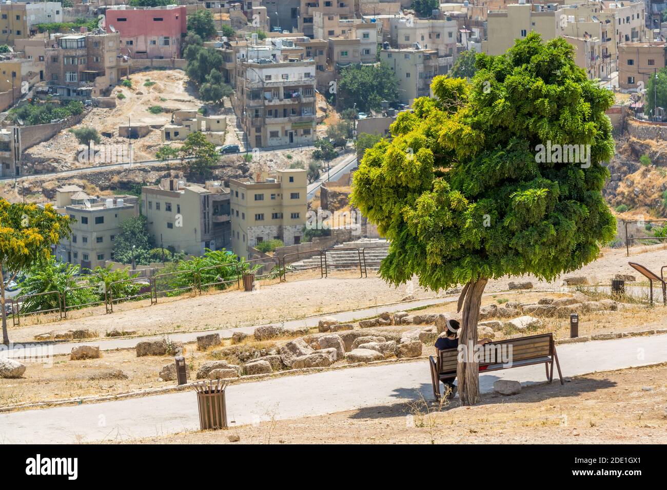 A female tourist sitting at the bench under a green tree at Amman ...