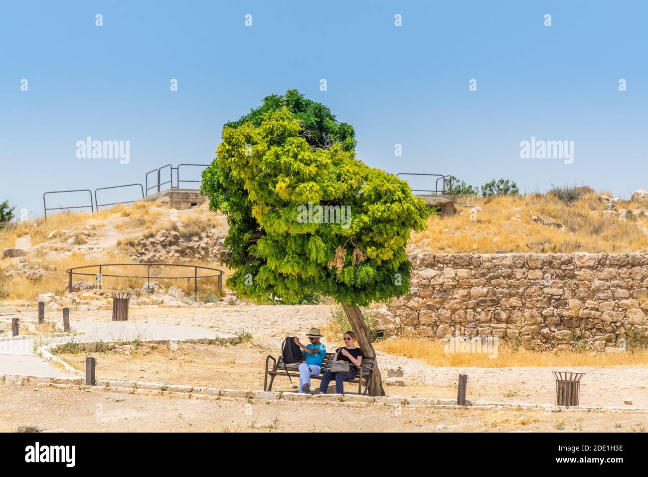 A couple tourists sitting at the bench under a green tree at Amman ...