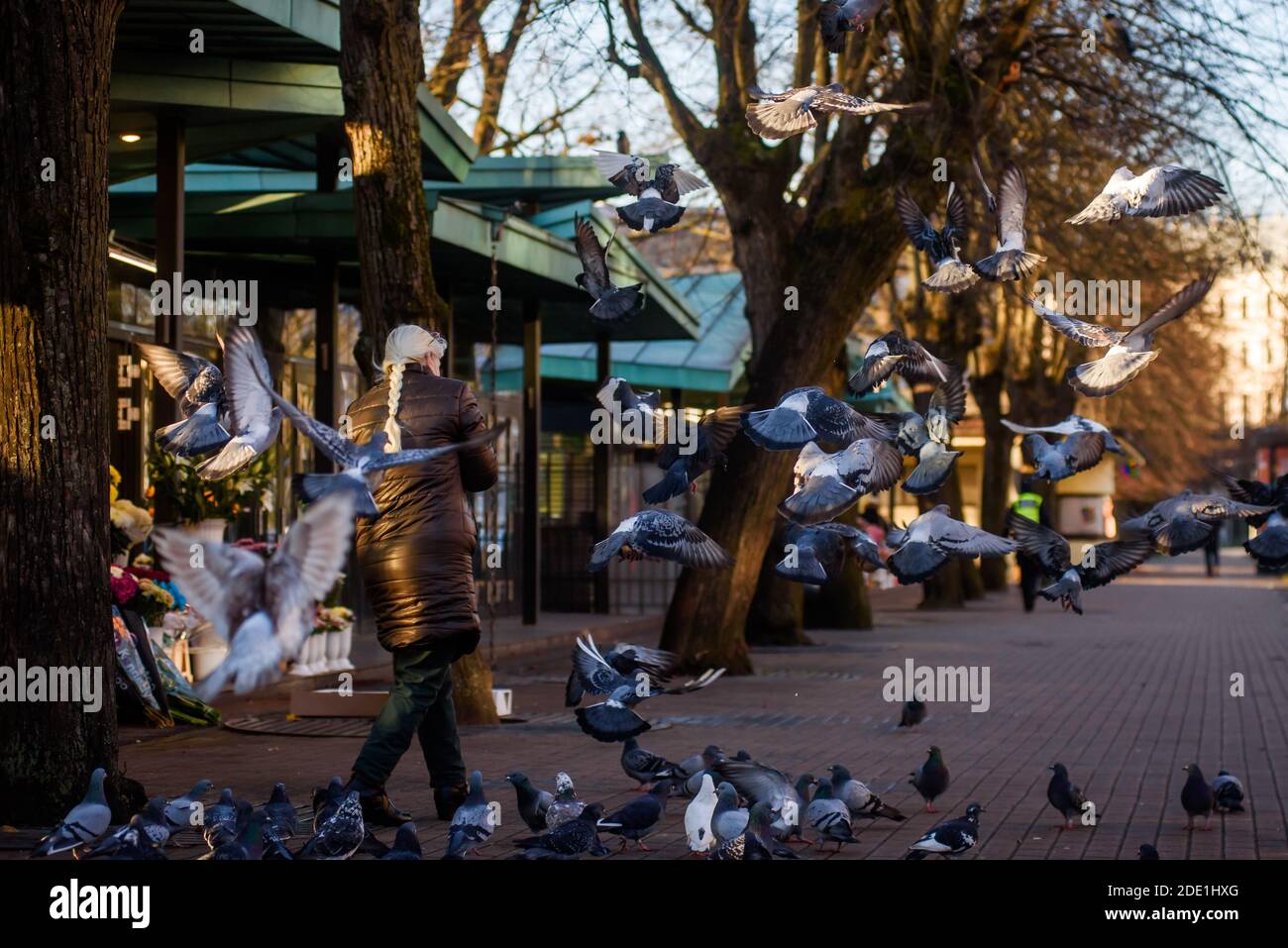 RIGA, LATVIA. 20th November 2020. Selective focus photo. Woman feeds ...