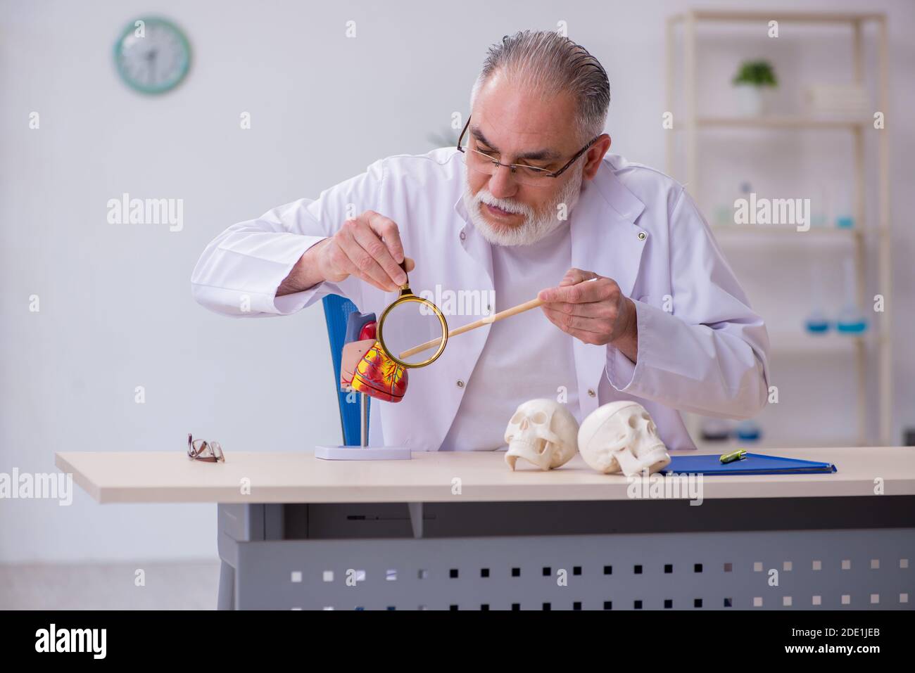 Old cardiologist explaining human heart structure Stock Photo - Alamy