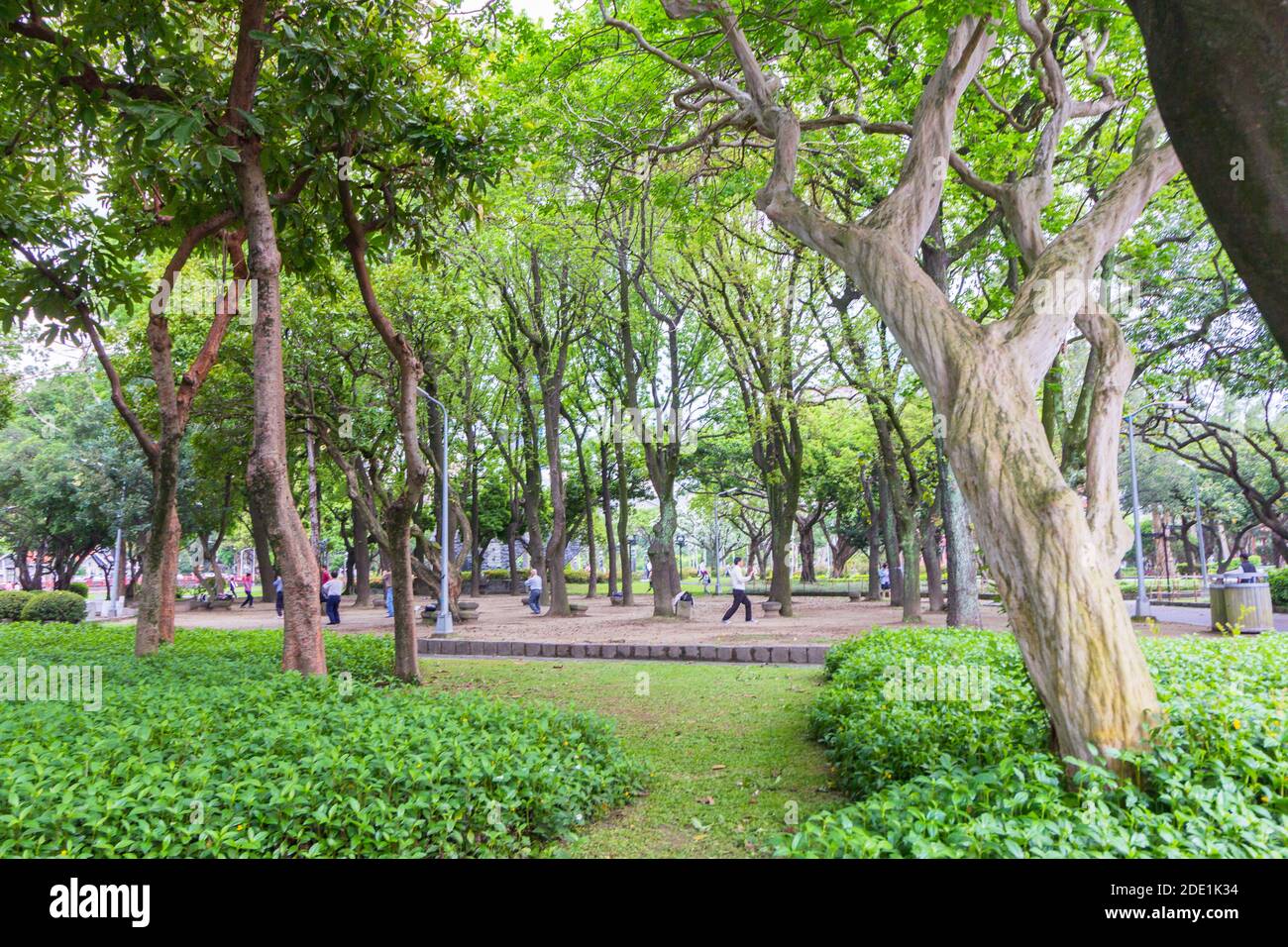 Trees at the garden inside the park premises of Liberty Square in ...